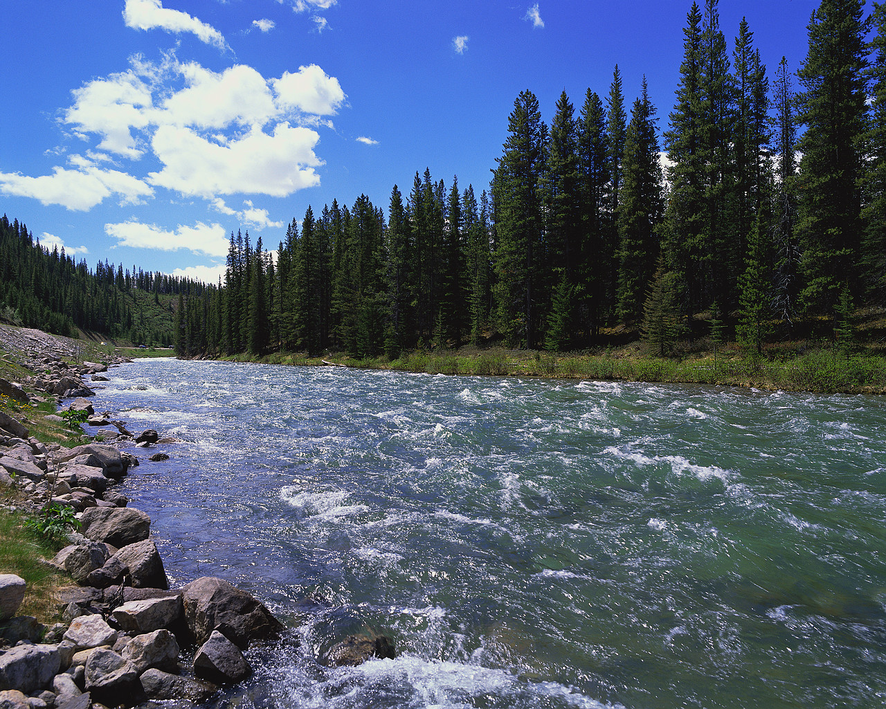 Rivers Are Children Holding Hands | Simple Pleasures